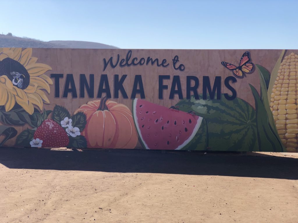 Tanaka Farms: Irvine’s Hidden Farm - Irvine Weekly